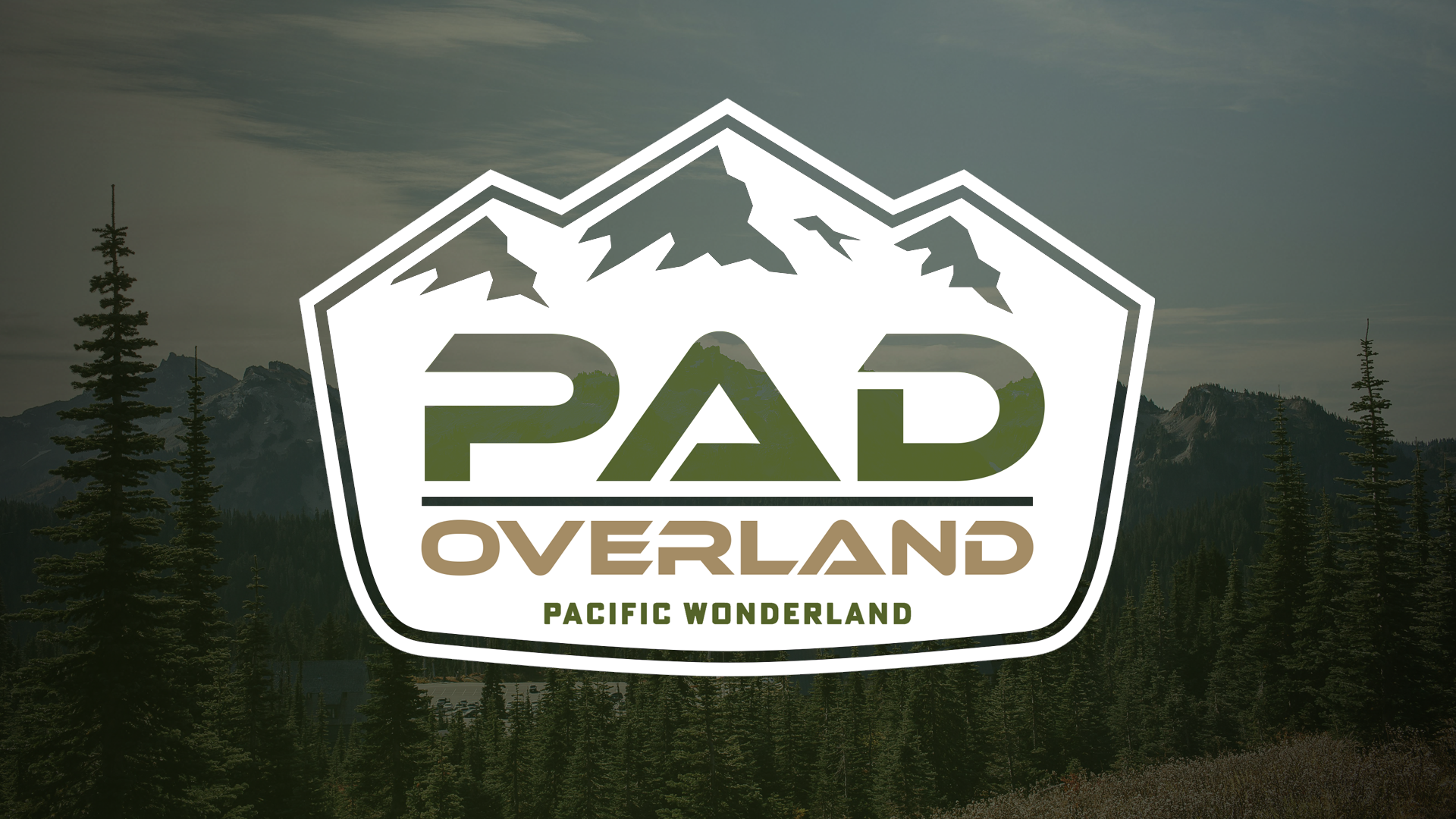 Ford Transit – PAD Overland